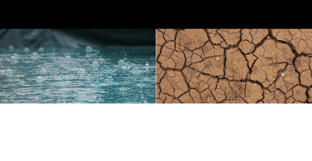 Notre outil de recherche – chaud ou froid, sec ou humide ? - Phyto-info